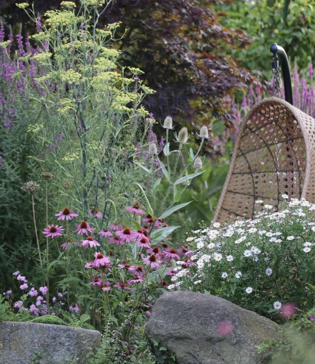 Je tuin als zen-plek: Dit zijn de musthaves! - Mynd